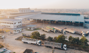 All Bins – Puran Brothers Inc.